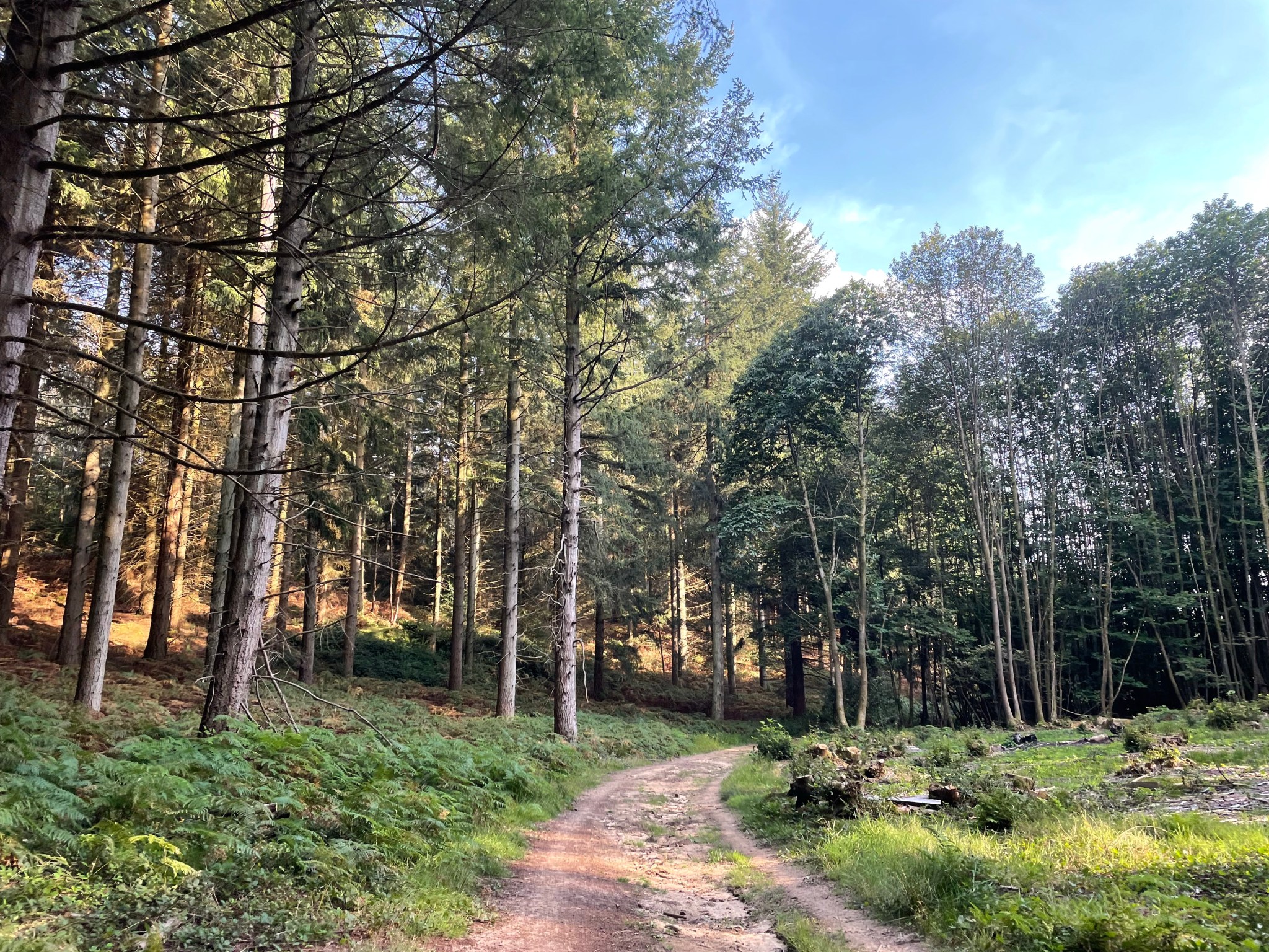 King Alfred’s Way | A baptism of fire for my first bikepacking trip ...